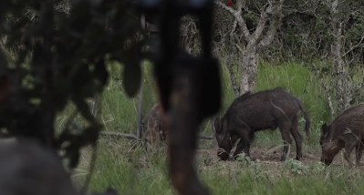 This Self-Filmed Primitive Bowhunting Video is Truly Timeless - Wide ...