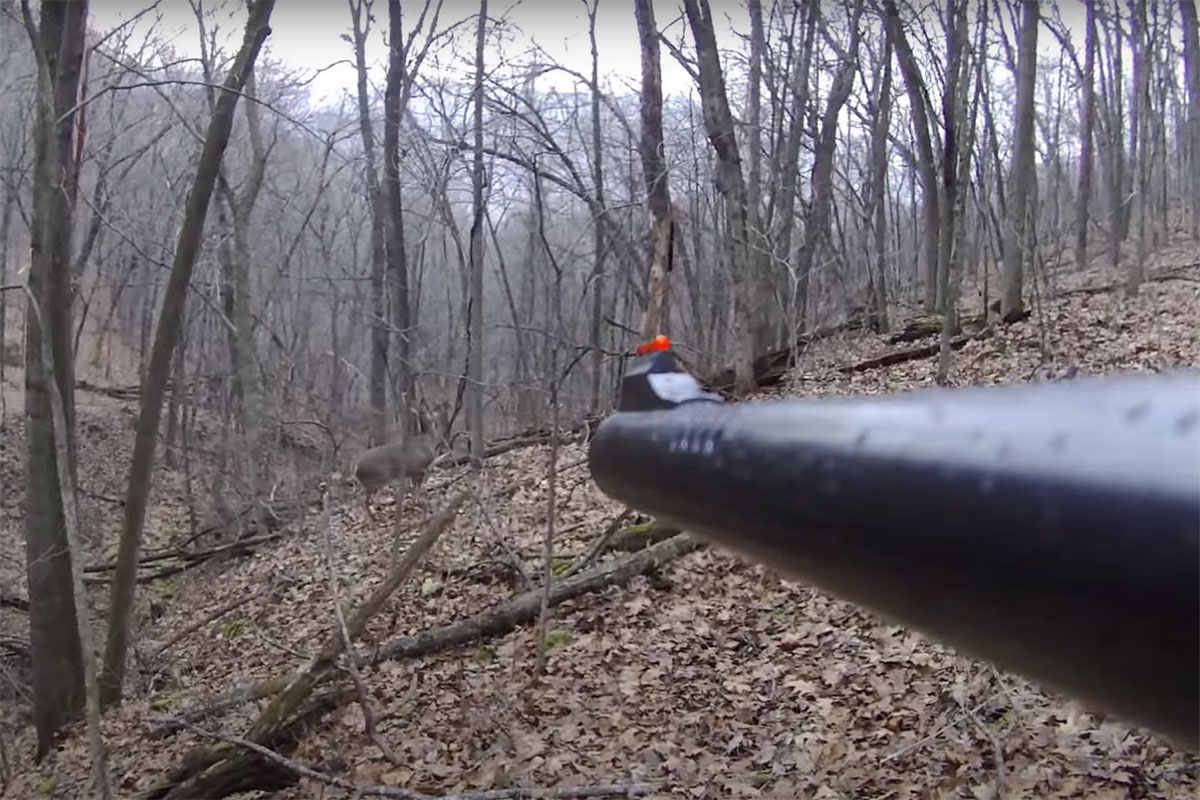 Deer Presents Hunter With a Quick and Easy Shot - Wide Open Spaces