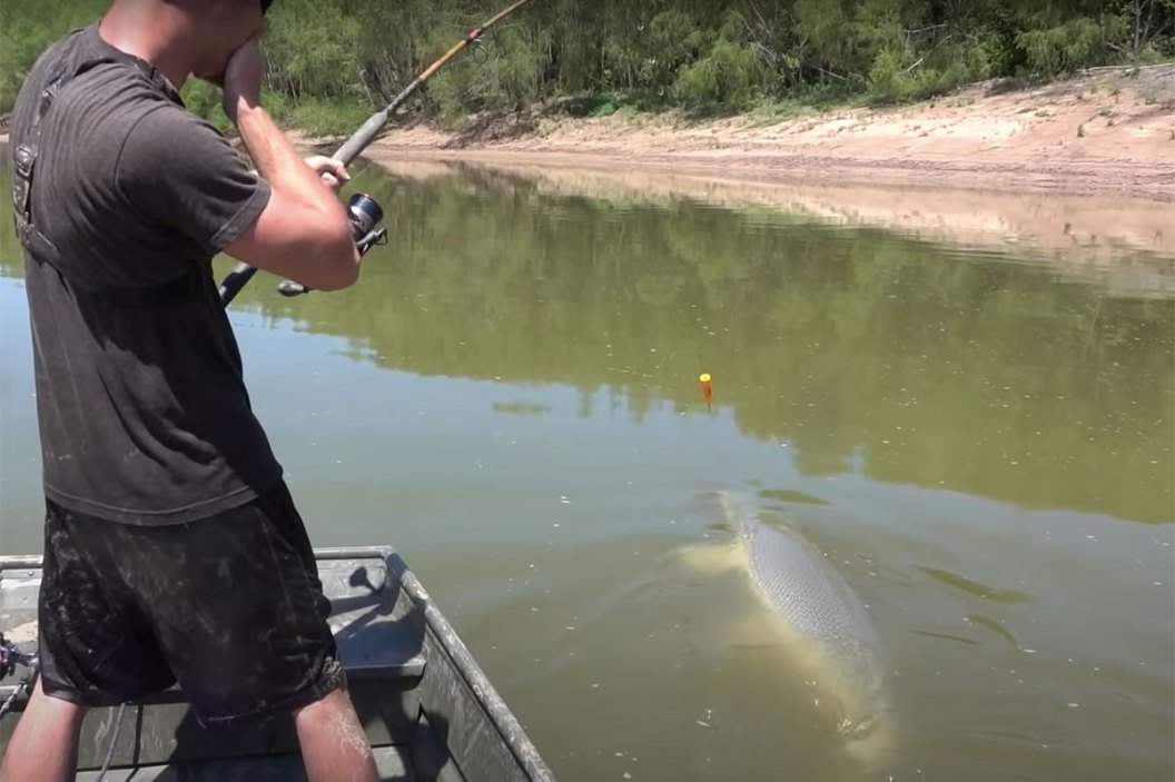 Learn How to Preserve Your Gar Fish Hide - Wide Open Spaces