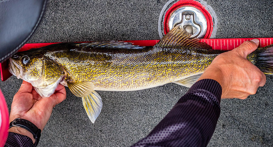 How to Plan the ULTIMATE Fishing Trip to Devils Lake - Wide Open Spaces