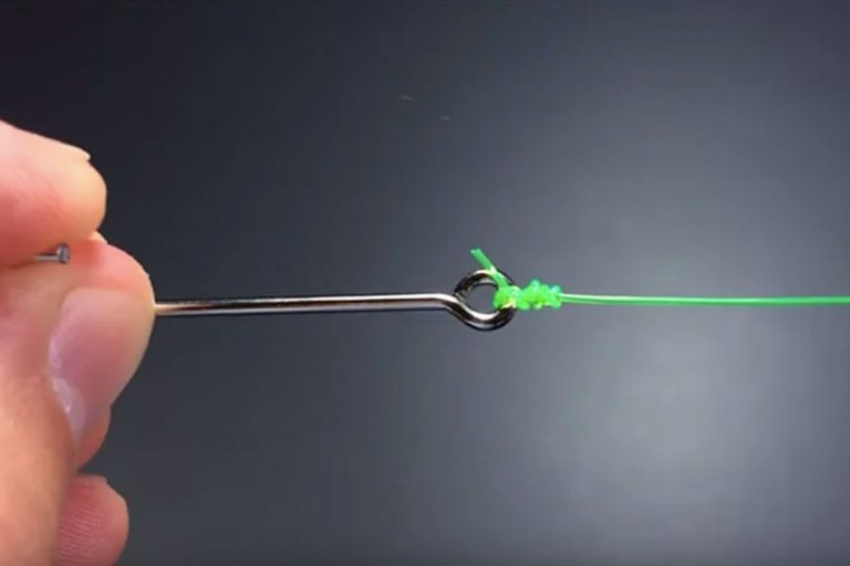 Fishing Knots: 10 Options That Are Easy to Learn, Work For Everything