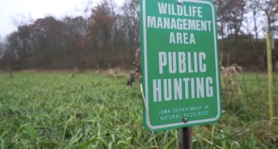 Picking the Right Gear, Strategy for Rabbit Hunting - Wide Open Spaces