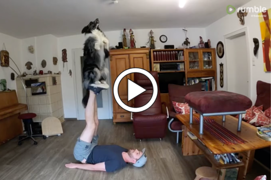 Aussie Shepherd's Incredible Tricks Go Way Beyond "Sit" and "Down"