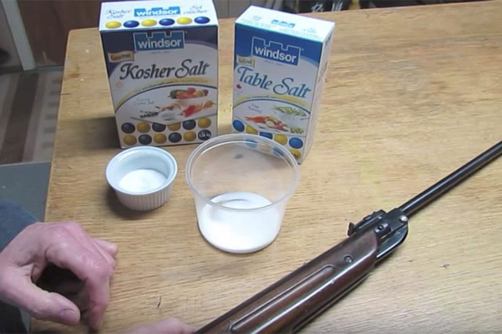 How to Make a $3 Bug-A-Salt Gun Out of Your Pellet Rifle - Wide Open Spaces