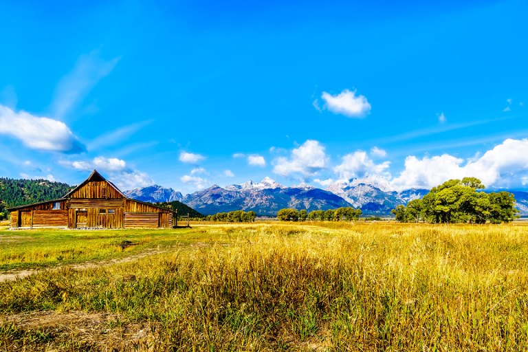 Find Free Land for Homesteading in the U.S.