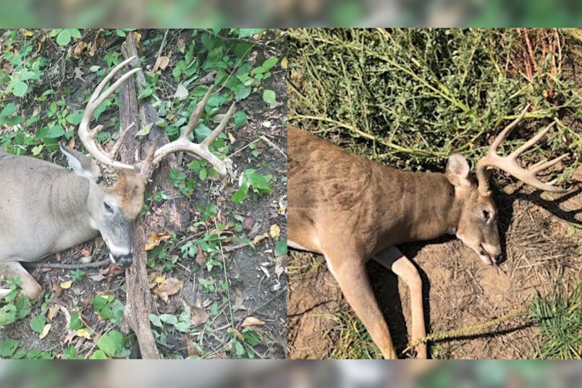 Off-Duty Louisiana Police Officer and Convicted Felon Caught Poaching ...