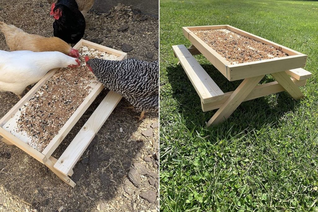 Ditch Your Boring Chicken Feeder for a Chicken Picnic Table