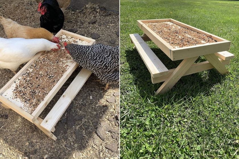 Ditch Your Boring Chicken Feeder for a Chicken Picnic Table