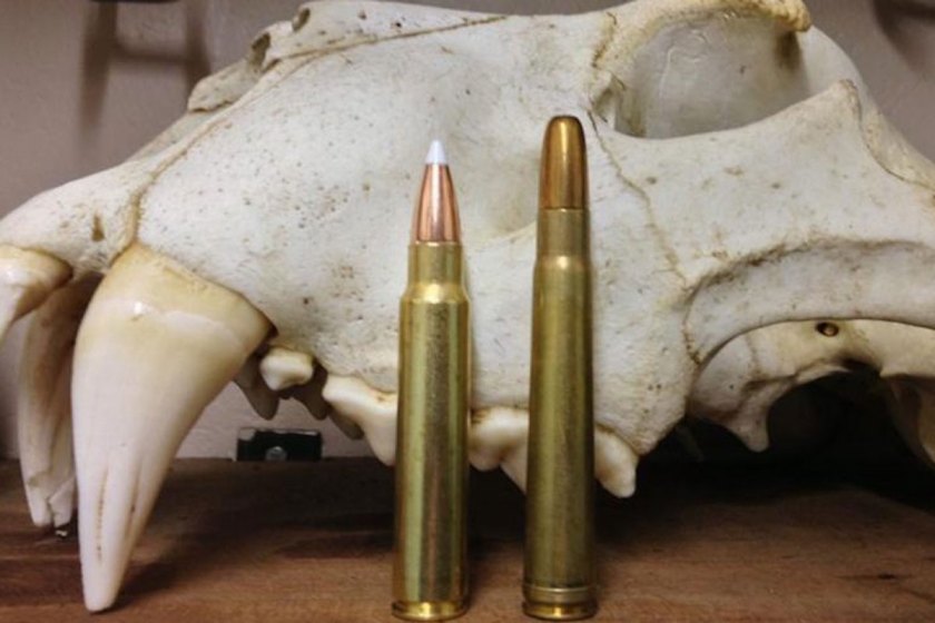 5 Most Underrated Rifle Cartridges for Hunting - Wide Open Spaces