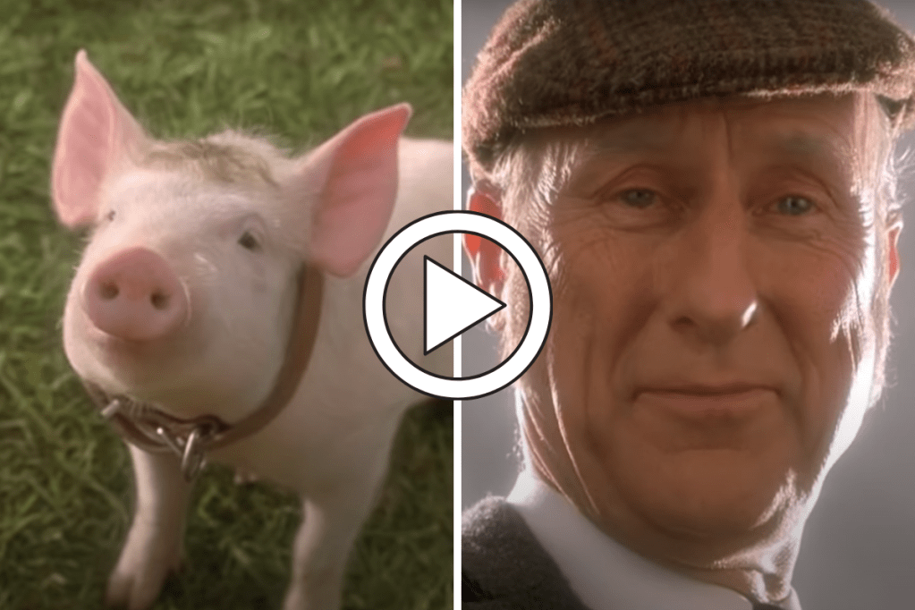 "That'll Do Pig": 'Babe' Turns 25, And The Final Scene Still Makes Us Cry