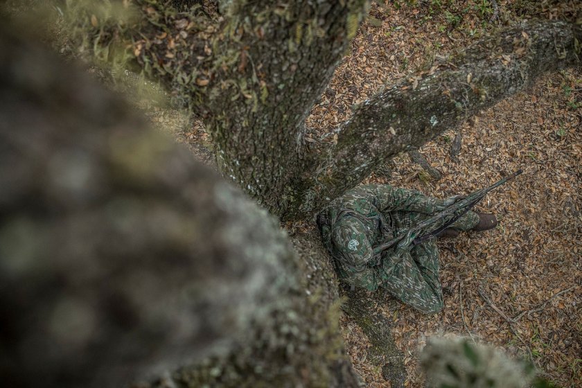 Mossy Oak Camo Patterns: All the Styles, Past and Present - Wide Open ...