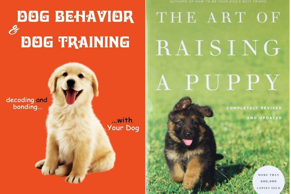Dog Training Books: The 10 Best To Buy in 2022 on Amazon