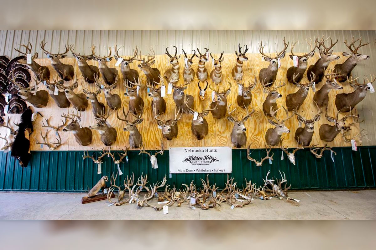 Biggest Nebraska Poaching Case Ever: 30 Guilty Pleas, $570K in Fines ...