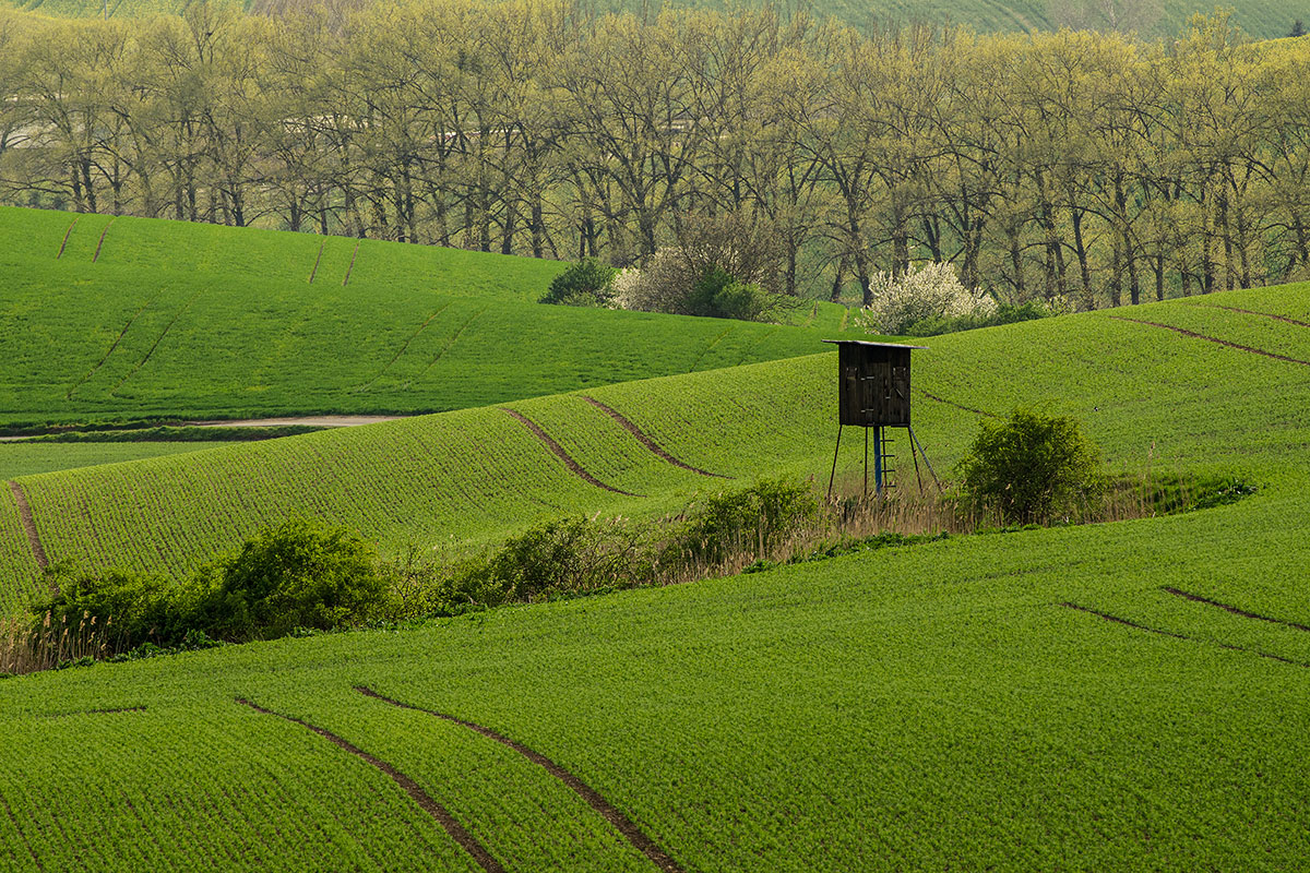 Small Hunting Property? Here Are 6 Improvements That Will Make a Big ...