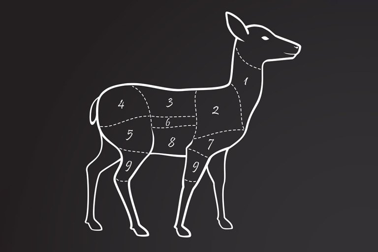 Venison Cuts: We Rank Our Favorites - Wide Open Spaces