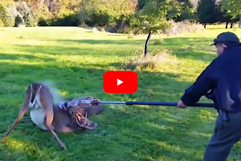 Conservation Officer Breaks Out the Pole Chainsaw to Cut Locked Bucks ...