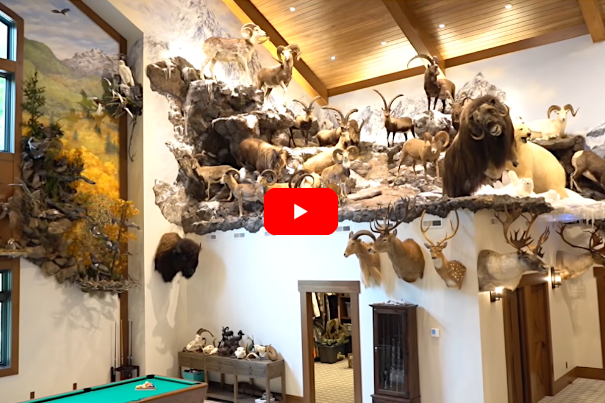 These 11 Hunters' Trophy Rooms Are Completely Unbelievable - Wide Open ...