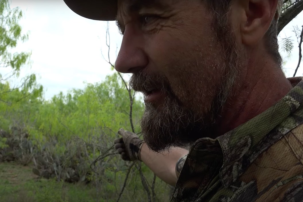 Camera Footage Captures a Stealthy Bobcat Attacking a Deer - Wide Open ...