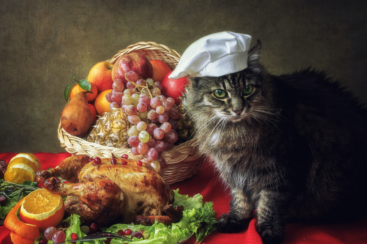 Thanksgiving & Cats: What Foods Are Safe to Share With Feline Friends?