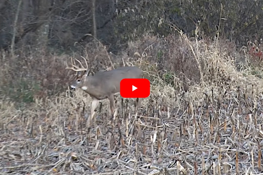 Bowhunter Smokes 170-Inch Buck After It Walks Right Under His Box Blind ...