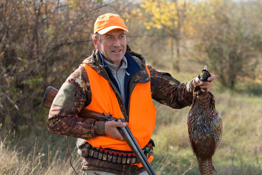 Pheasant Hunting: The Ins and Outs for the Uninitiated