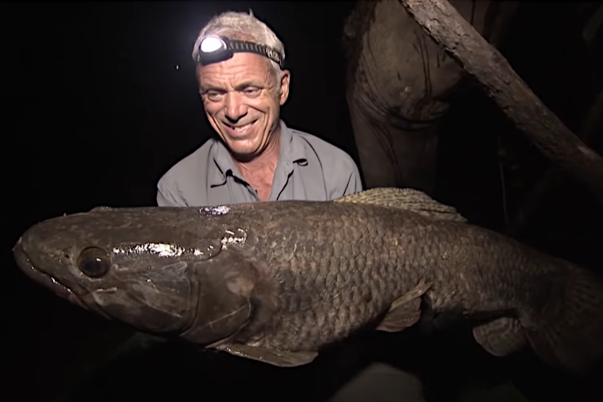 Jeremy Wade Tangles With the Toothy and Aggressive Wolf Fish