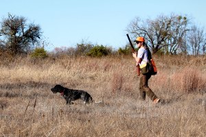 Orvis' Upland Bird Hunting Video is a True Masterpiece - Wide Open Spaces