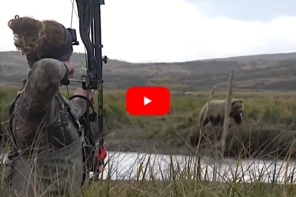 Female Hunter Smokes Huge Bruin on Alaskan Brown Bear Bowhunt - Wide ...