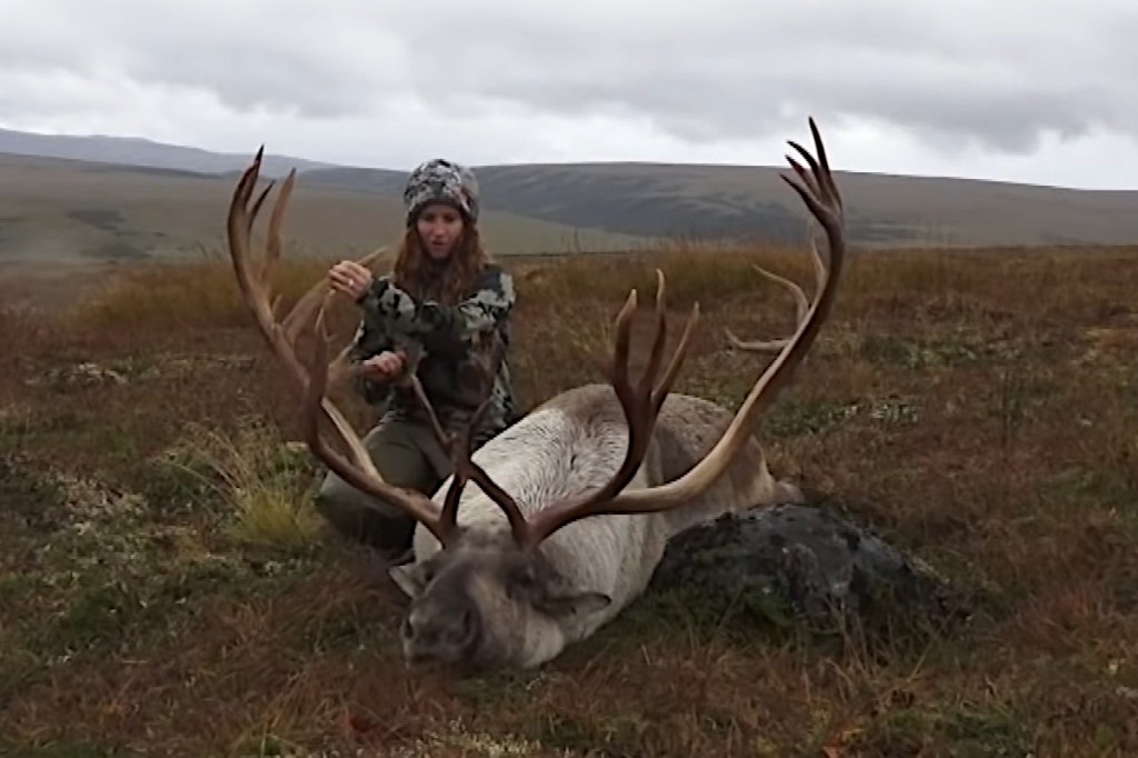 Hunters Simultaneously Double Up on Giant Caribou Bulls at 550 Yards ...