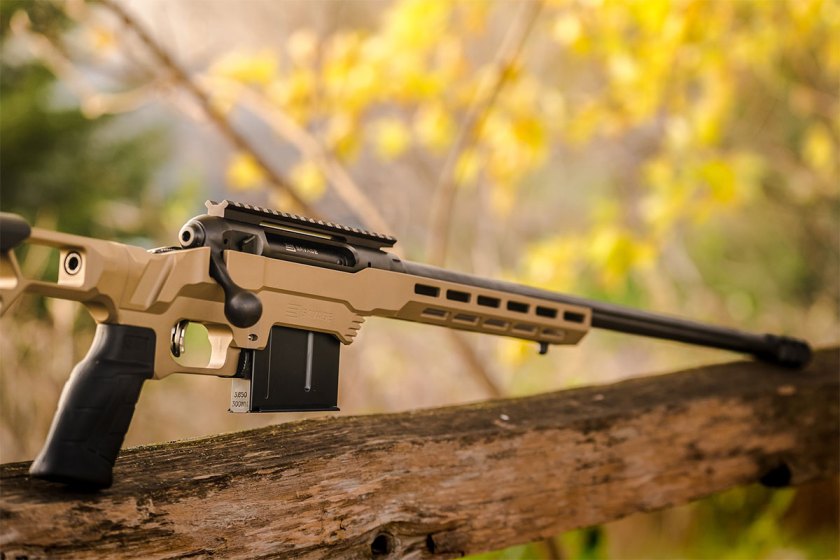 The Savage 110 Precision: Why a Skeletonized, Flat Dark Earth Rifle ...