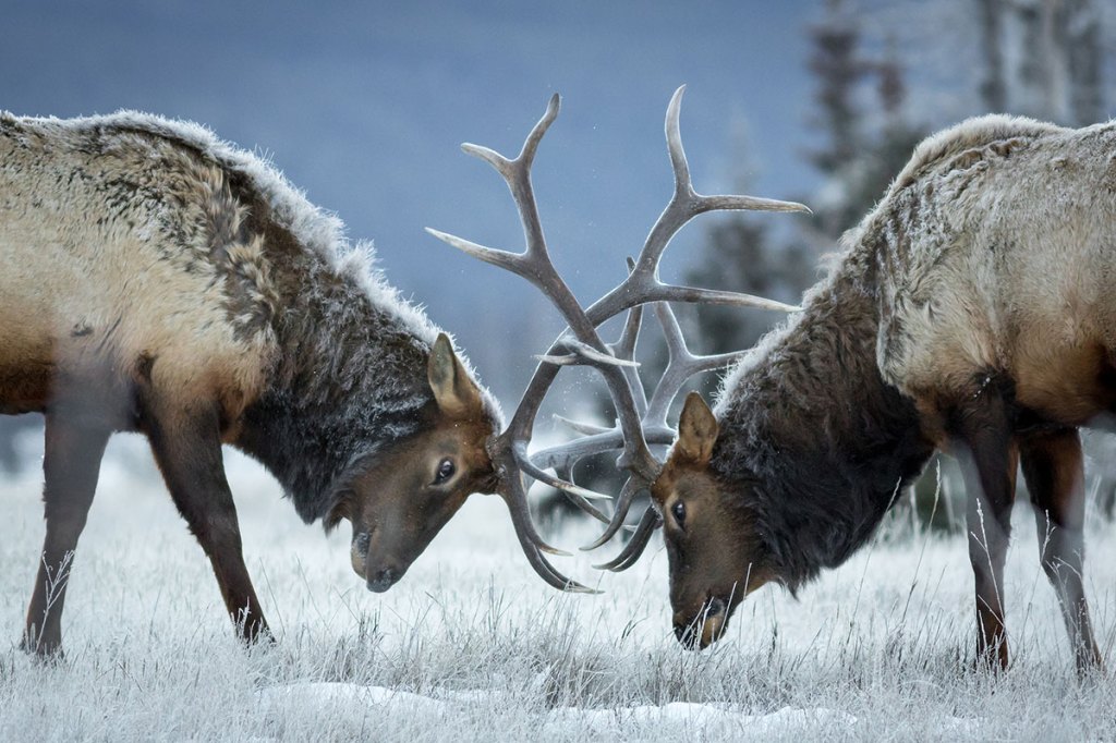 Hunting Facts: 7 Facts You'll Wish Weren't True