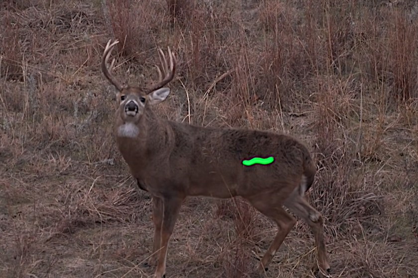 Michael Waddell Smokes Monster Buck in Kansas During Near Perfect Hunt ...