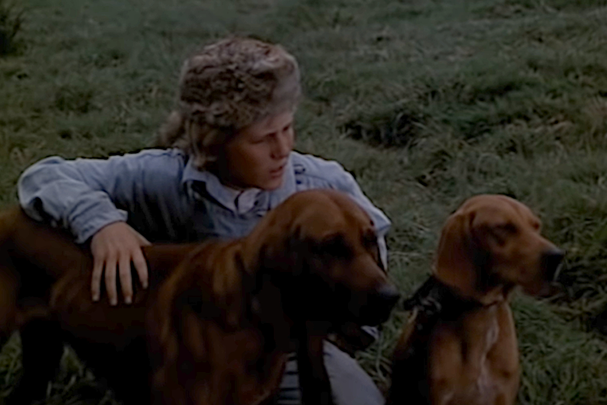 Where the Red Fern Grows: The Classic Book and Film About a Boy and His ...