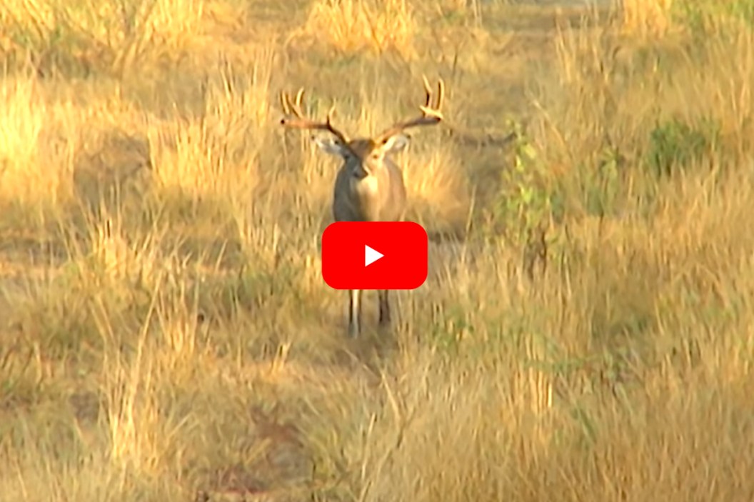Bill Jordan Smokes Unbelievably Wide Texas Buck in Classic Realtree ...