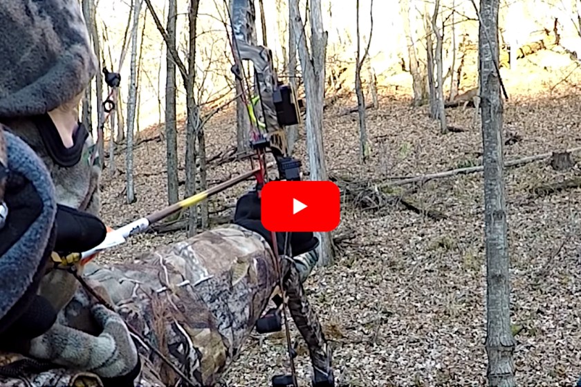 Bowhunter Smokes Wide-Racked 8-Pointer, Then Shares in the Recovery ...