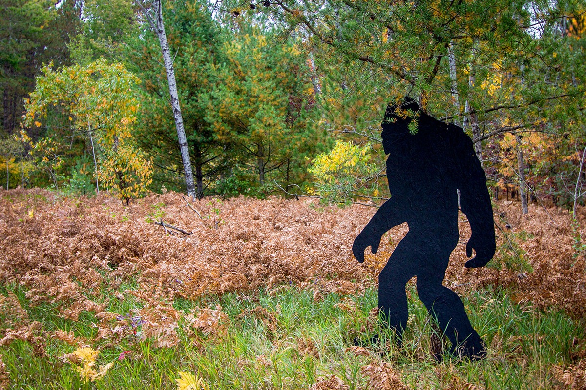 Oklahoma Bigfoot Hunting Season Proposed By Lawmaker - Wide Open Spaces