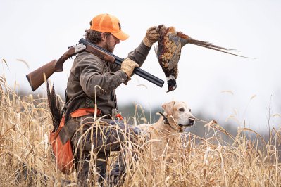 10 Biggest American Gun Companies Share a Rich History