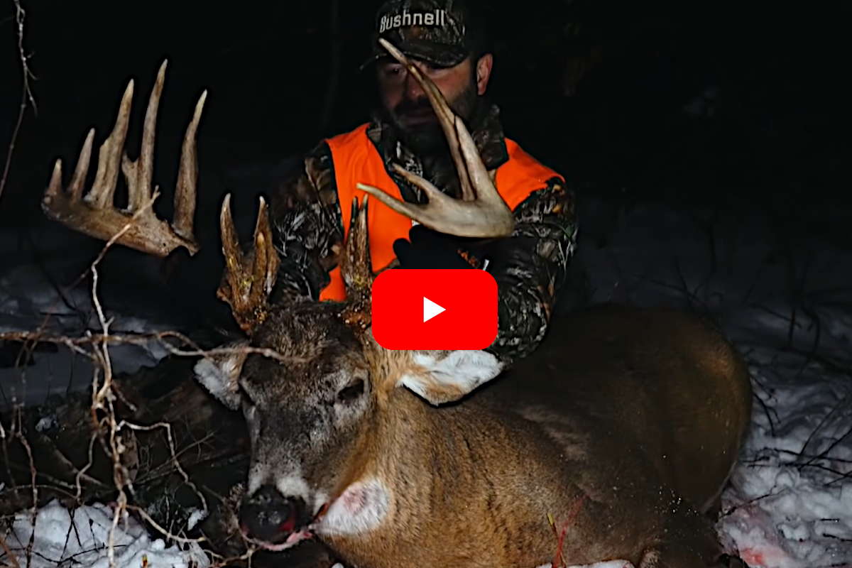 Hunter Connects on 185-Inch Monster Buck With Shooting Light Running ...