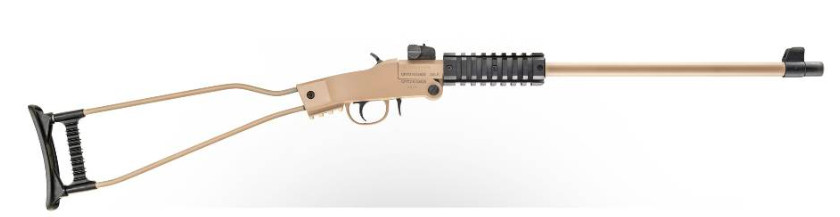 Takedown Rifles: 8 Best Options for a Survival Situation