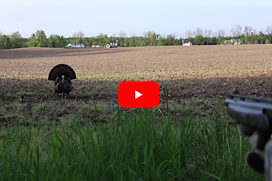 Watch This Turkey Explode from 5 Yards Away - Wide Open Spaces