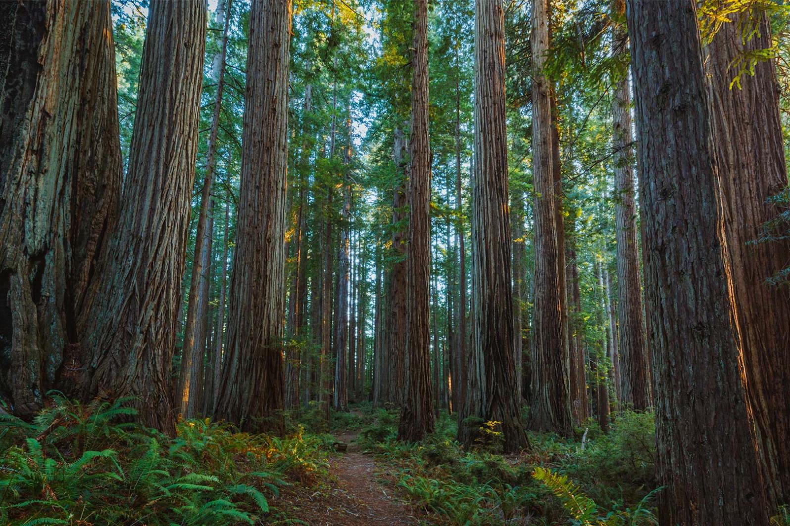 25 Beautiful U.S. State Parks Worth Visiting for Less Crowds