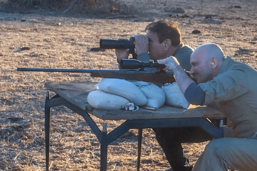 Classic Deer Hunting Rifles: 5 Firearms With Proven Track Records