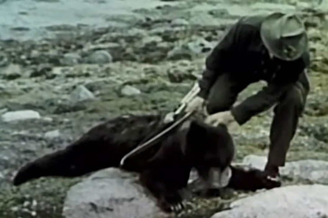 7 Fred Bear Quotes for Every Hunter to Remember - Wide Open Spaces