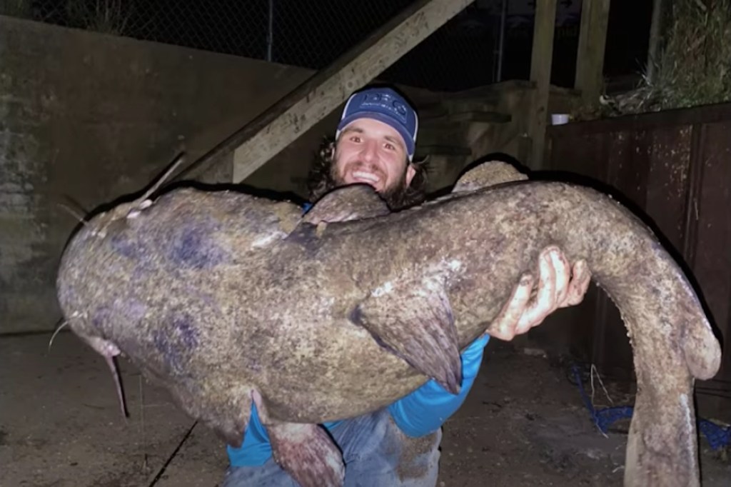 Apparently Catfish Can Beach Themselves to Hunt Pigeons - Wide Open Spaces