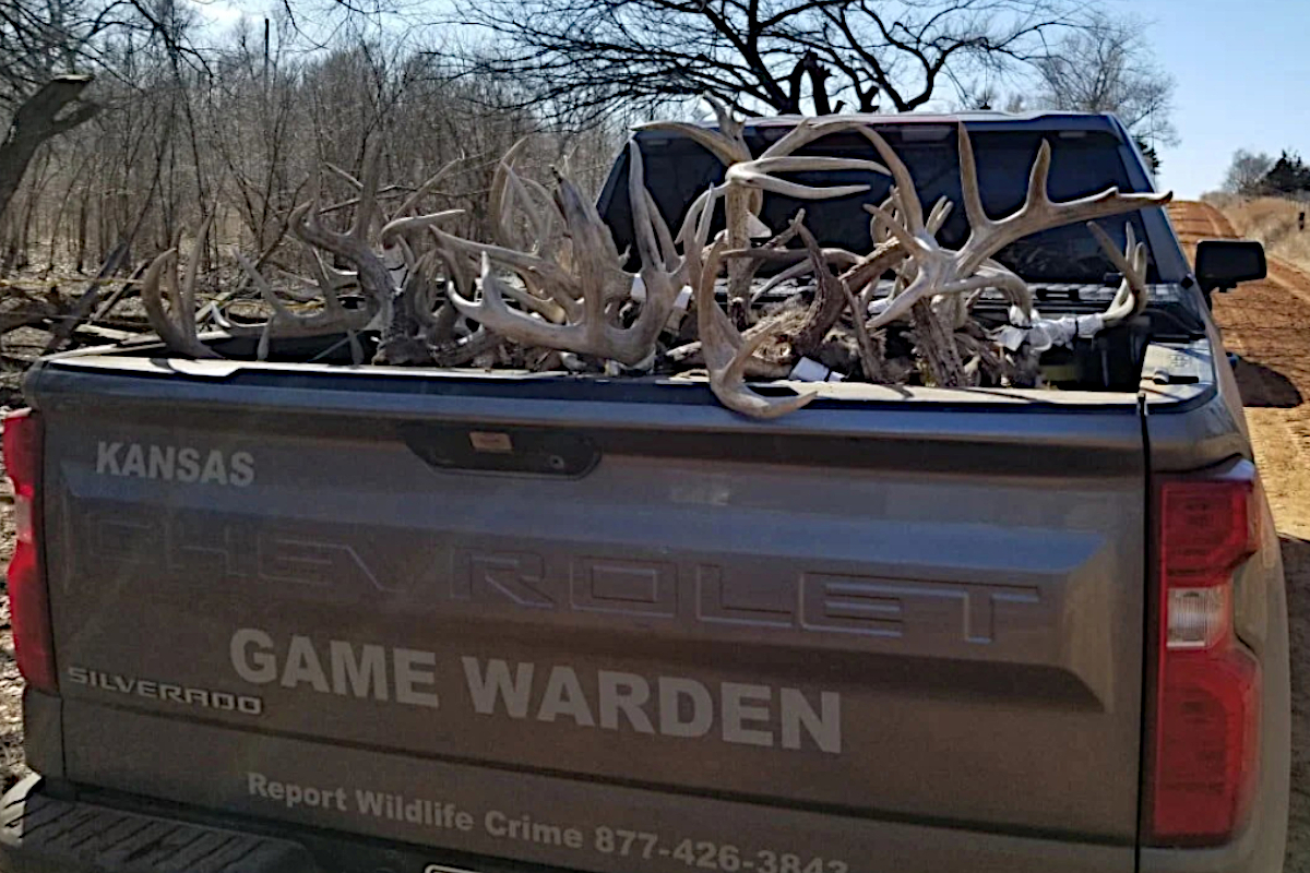 5 More of the Biggest Punishments Ever Handed to Poachers - Wide Open ...