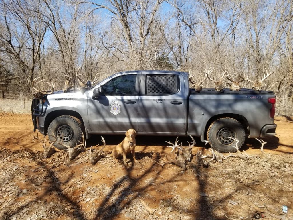 5 More of the Biggest Punishments Ever Handed to Poachers - Wide Open ...