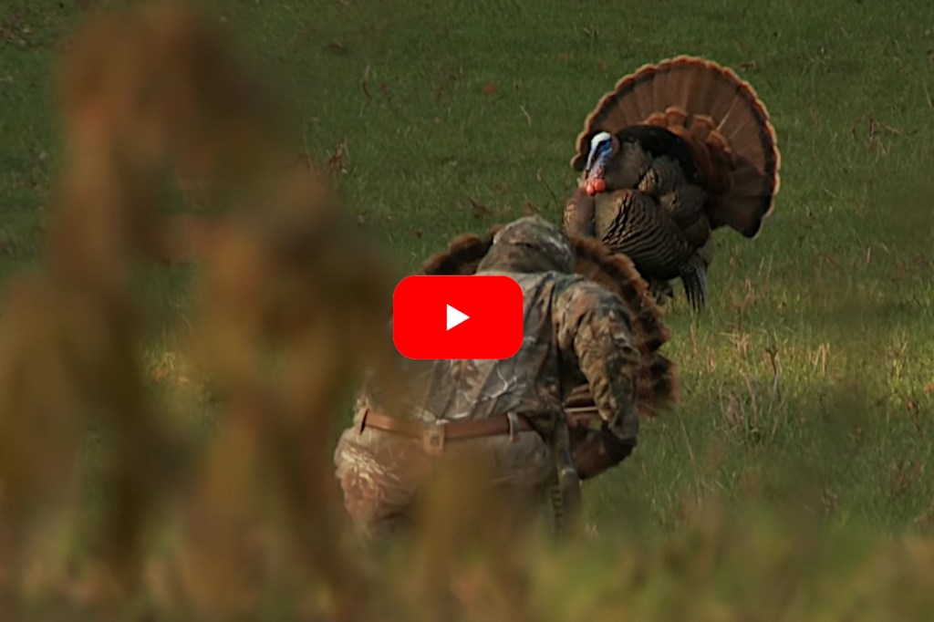 26 Turkey Kill Shots in 2 Minutes Should Be Enough to Get You Pumped ...