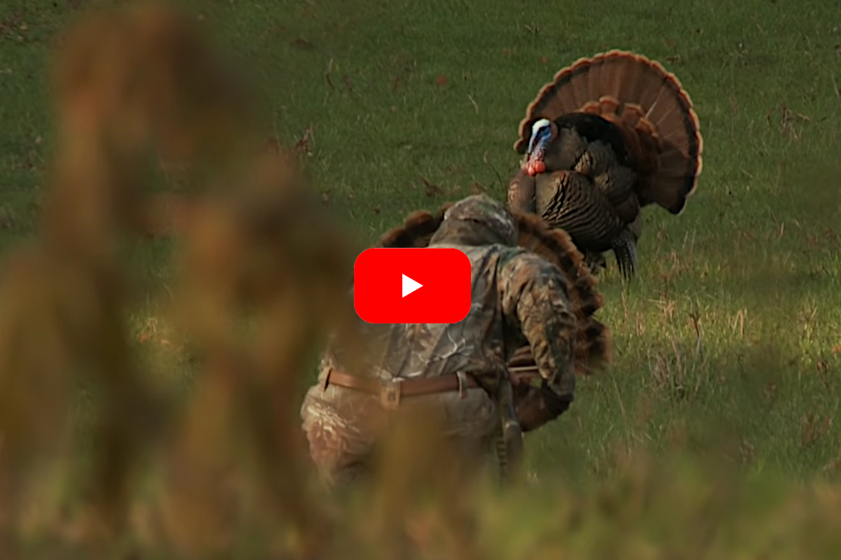 26 Turkey Kill Shots in 2 Minutes Should Be Enough to Get You Pumped ...