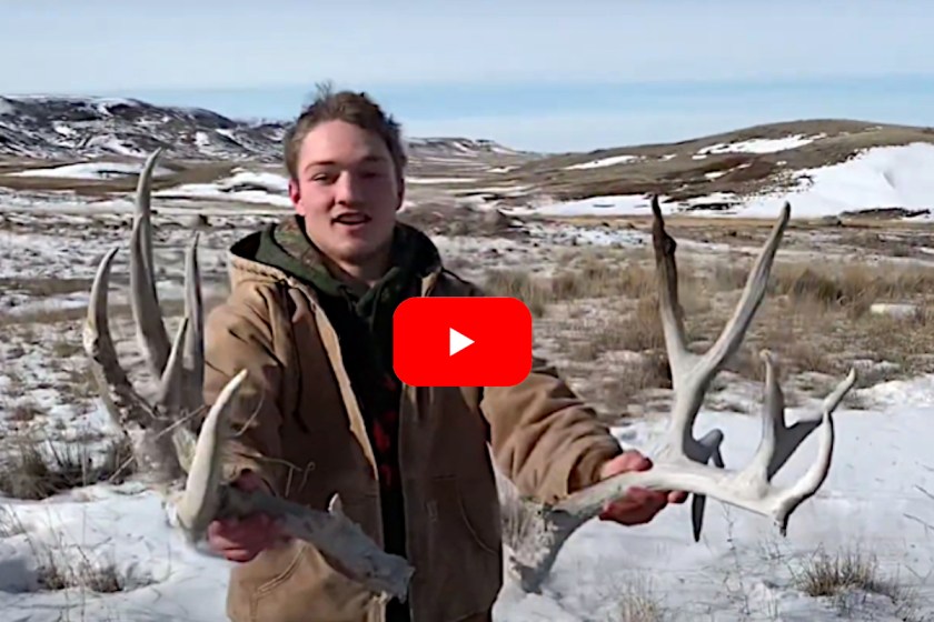 Hunter Finds Big Matched Set of Shed Antlers in His Backyard