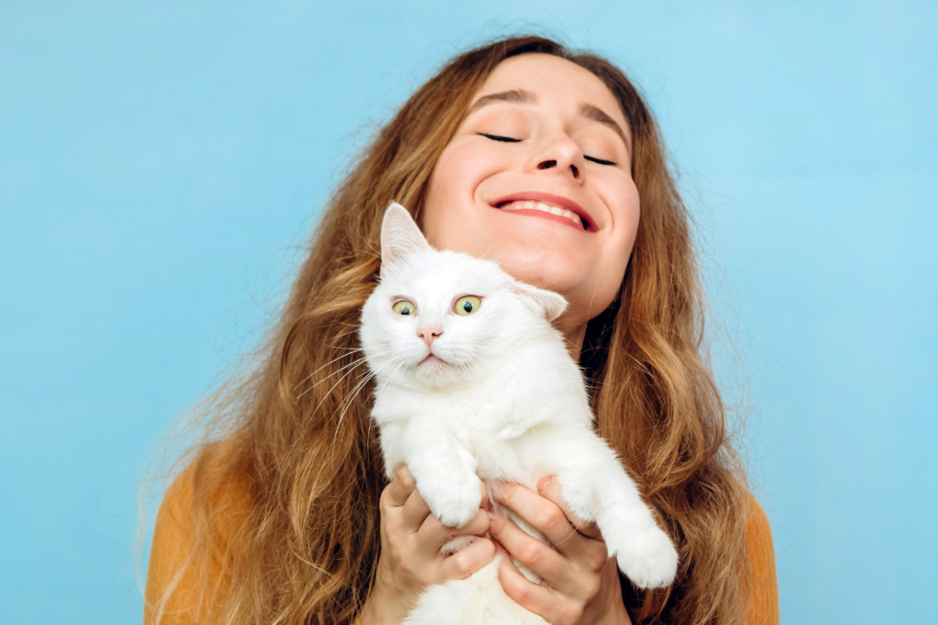 How To Pick Up a Cat (And Not Hurt Yourself) At Home + In Emergencies